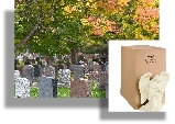 - Cremation with a Memorial Graveside Service #Step1-Graveside-MI